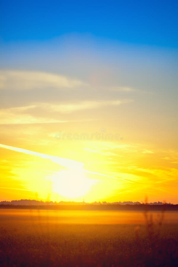Spring sunset stock photo. Image of scene, summer, silhouette - 28576366