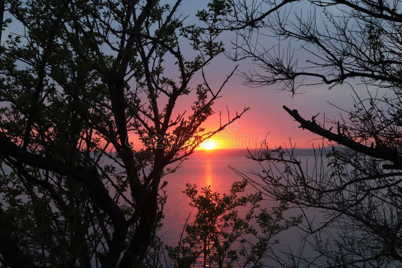 Spring sunset stock image. Image of spring, trees, cool - 148044047