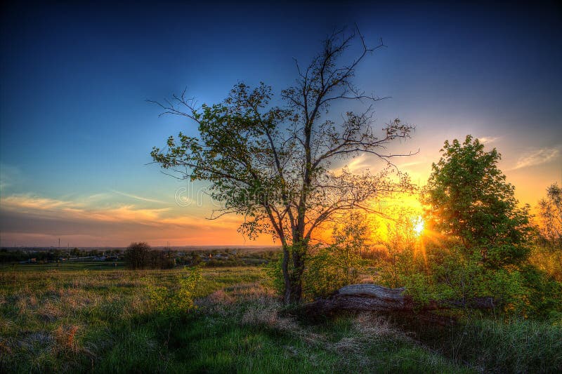 Spring sunset. stock photo. Image of grass, sunset, spring - 116470670