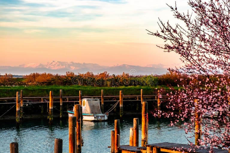 Spring Sunset in the Lagoon of Grado Stock Photo - Image of flowers ...