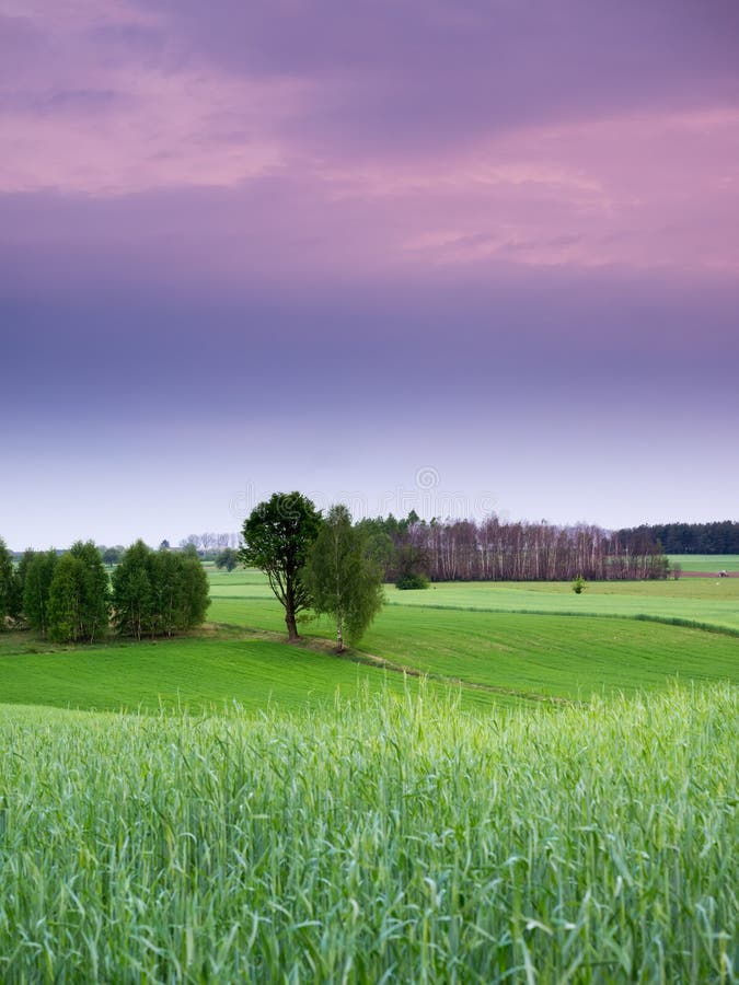 Spring sunset landscape stock photo. Image of hills, calm - 40329240