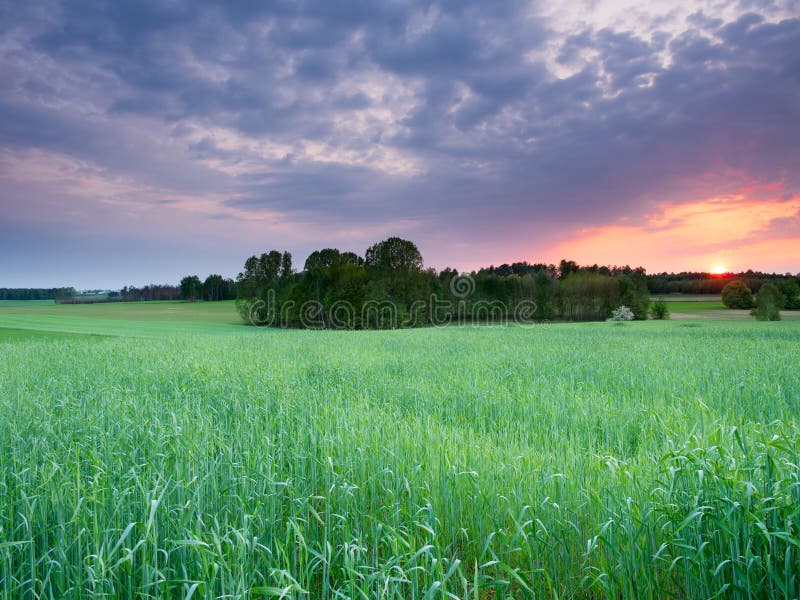 Spring sunset landscape stock image. Image of majestic - 40329247