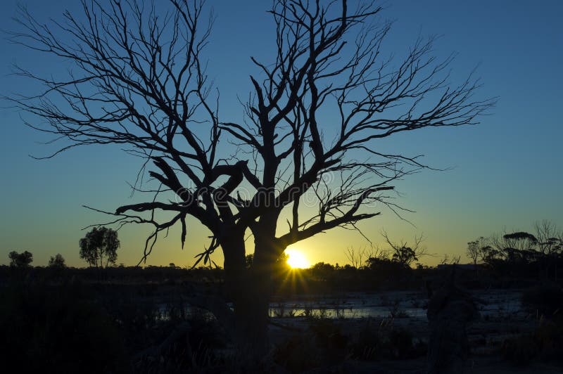 Spring Sunset Over Lake Magic, Hyden, WA, Australia Stock Photo - Image ...
