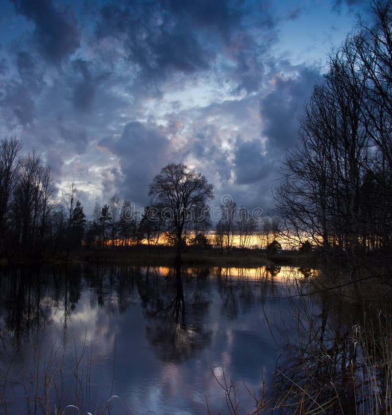 The River Luga, Leningrad Region, Russia Stock Image - Image of reeds ...