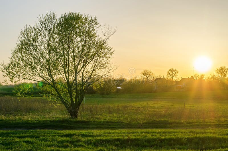 Spring Sunset, Rural Landscape. Stock Photo - Image of nature, road ...