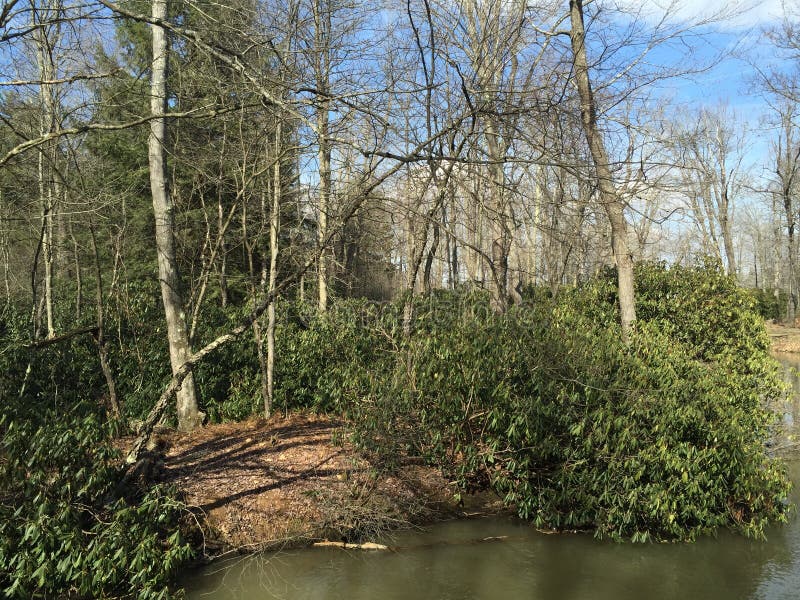 Spring sunshine stock photo. Image of seasonal, peaceful - 87362786