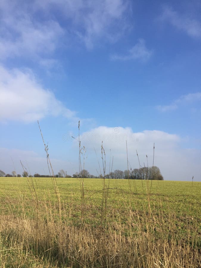 Spring Sunshine Over Fields Stock Image - Image of spring, suffolk ...