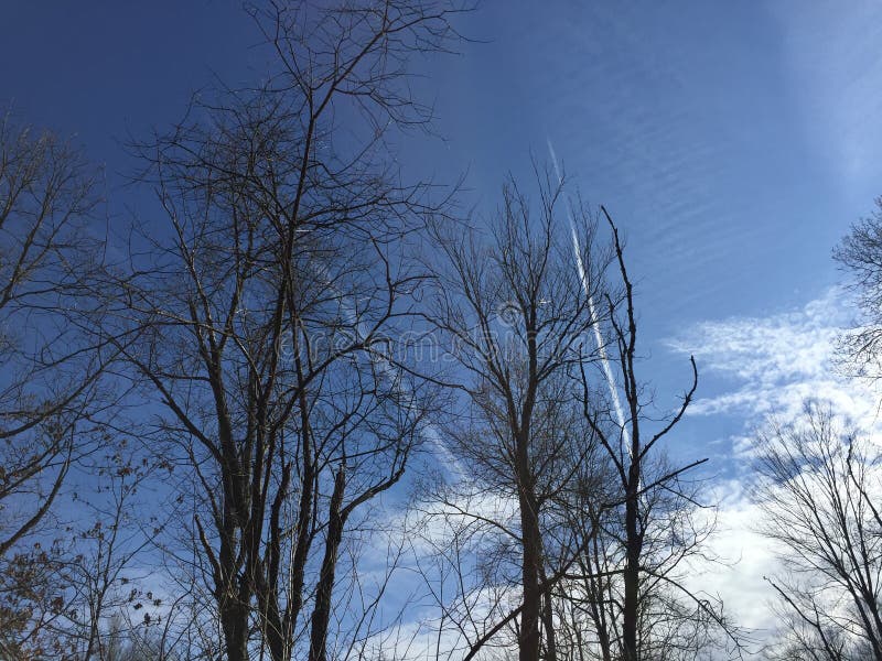 Spring sunshine stock photo. Image of geese, greenery - 87158436