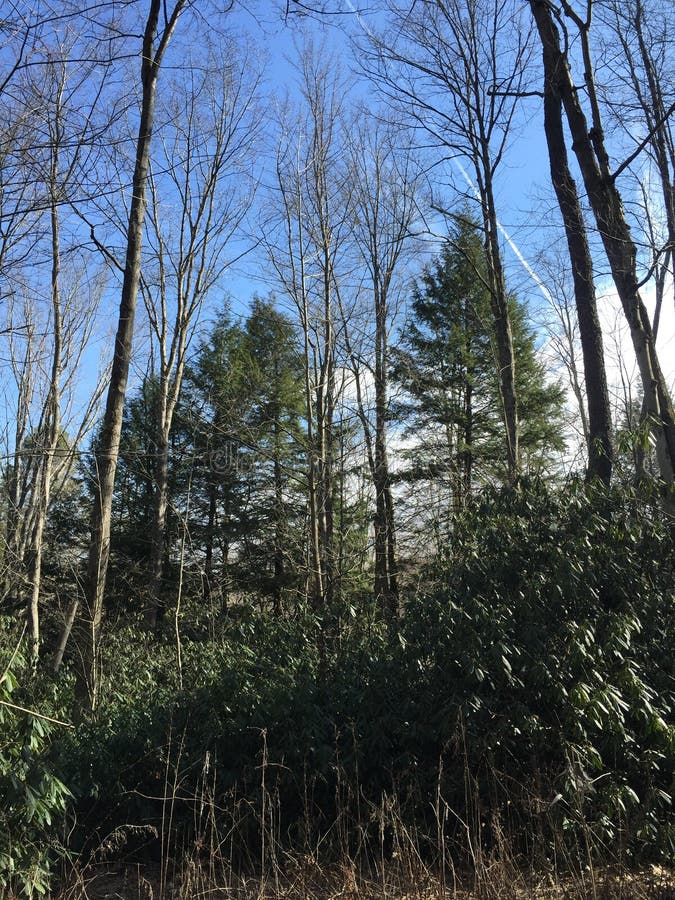 Spring sunshine stock photo. Image of fall, early, fountain - 87212952