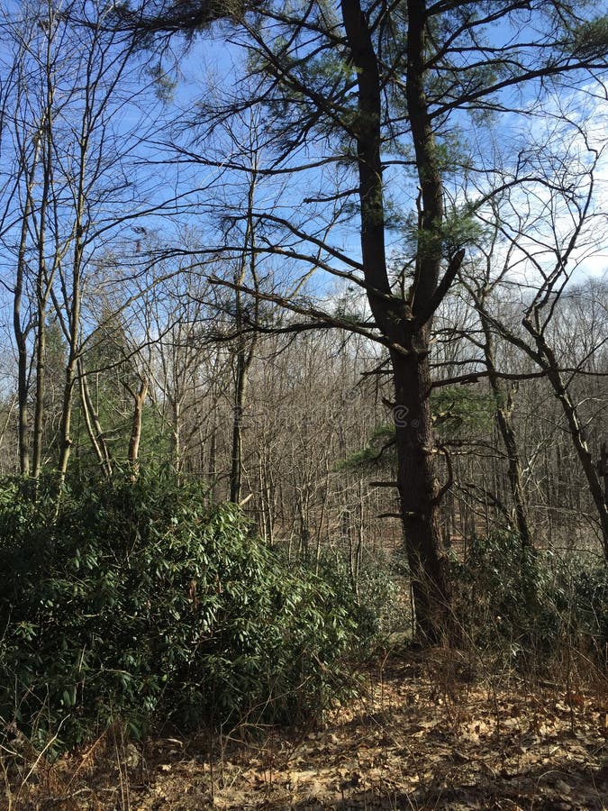 Spring sunshine stock image. Image of decorations, cuddle - 87280019