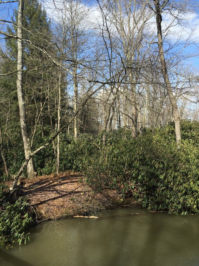 Spring sunshine stock image. Image of helping, dresser - 87303315