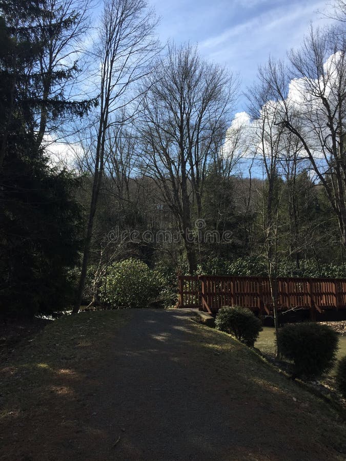 Spring sunshine stock image. Image of forest, dawn, dresser - 87308999