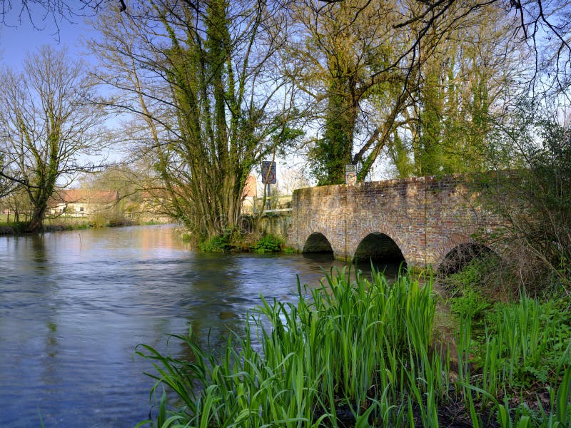 Spring Sunshire Stock Photos - Free & Royalty-Free Stock Photos from ...