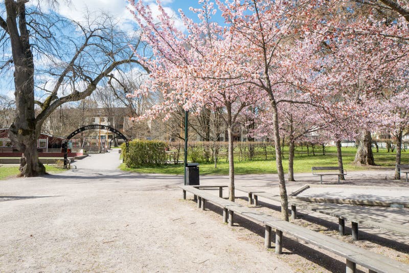 Spring in Sweden editorial photography. Image of scandinavian - 70458502