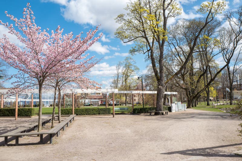 Spring in Sweden editorial photo. Image of park, tourism - 70458711