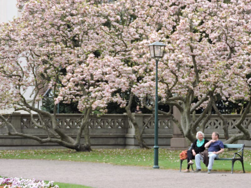 Spring in Sweden editorial photo. Image of spring, sweden - 107397316