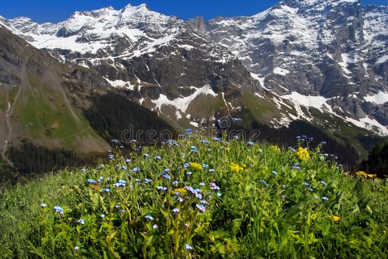 Spring in Swiss Alps stock image. Image of alpine, house - 13918727