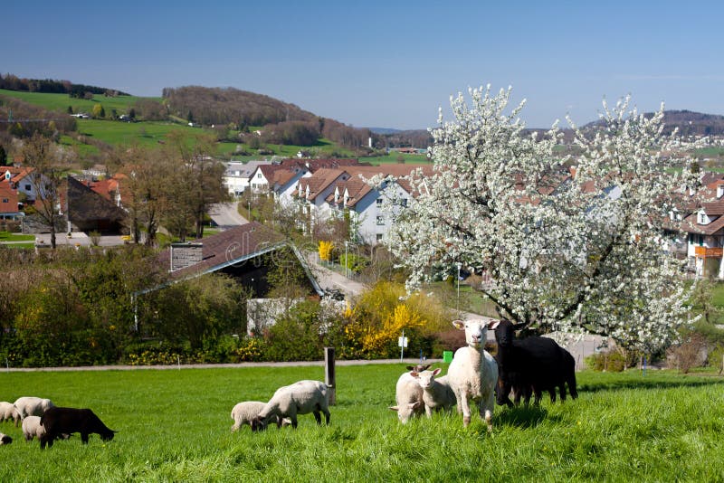 Small Village In The European Alps Stock Image - Image of swiss, scenic ...