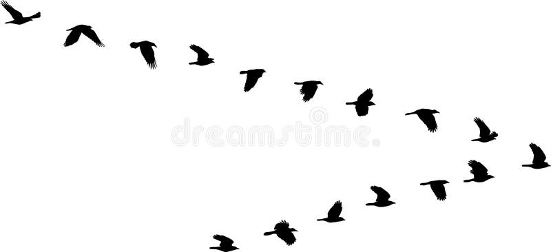 Spring symbol stock vector. Illustration of vector, birds - 209023450