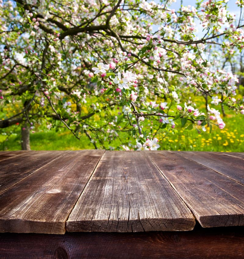 Spring table stock image. Image of green, bokeh, fruit - 50802157