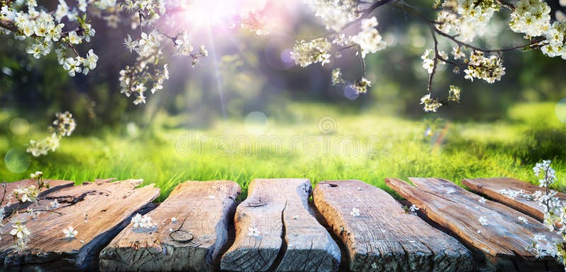 Spring Table with Trees in Blooming Stock Image - Image of bokeh ...