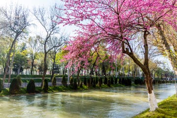Spring in Tashkent stock photo. Image of cityscape, river - 69865206