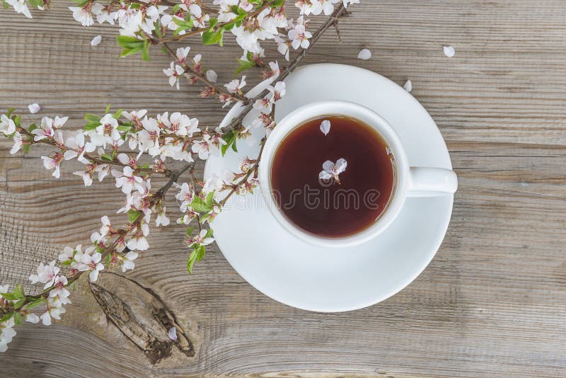 Spring tea time; stock photo. Image of wooden, blooming - 239747956