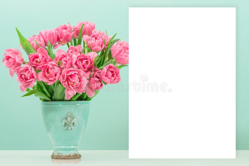 Spring Template Mockup Pink Tulip Flowers Turquoise Background Stock ...