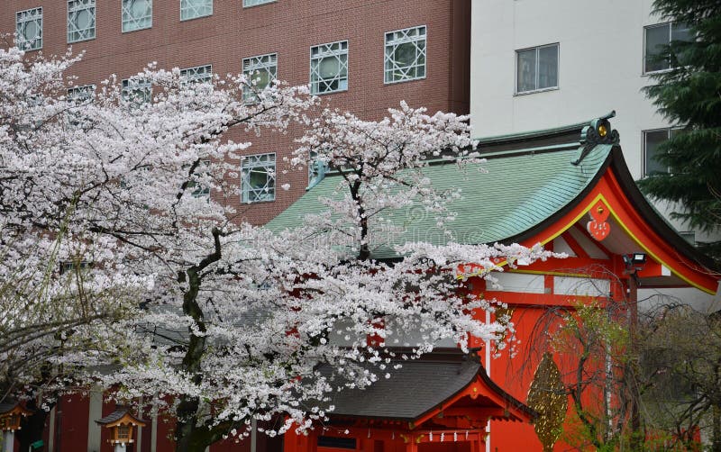 Spring on the Temple in the City Stock Photo - Image of panorama ...