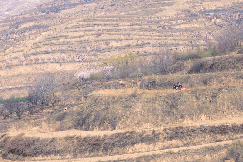 Spring terraces stock photo. Image of terrace, cultivated - 179259782