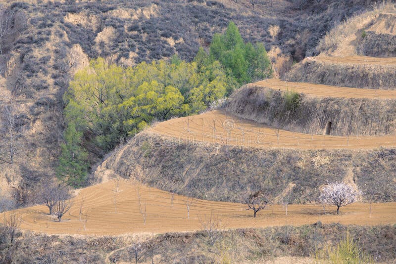 Spring terraces stock photo. Image of fields, cropland - 179259876