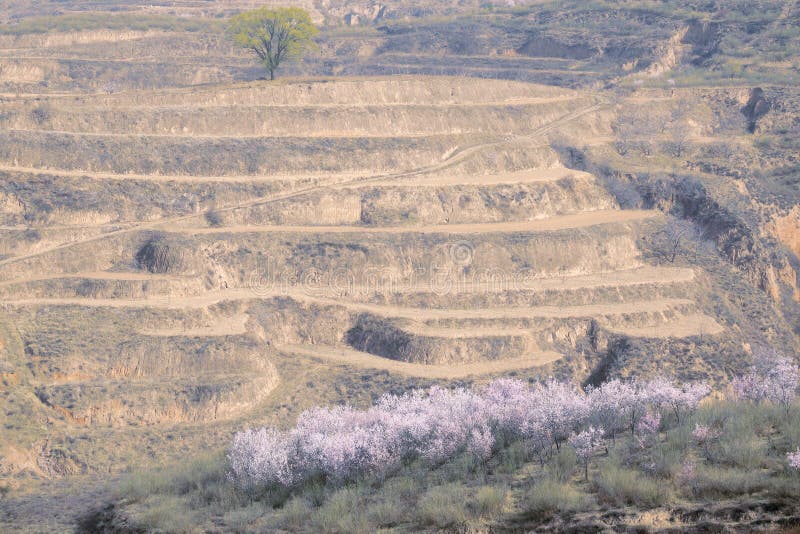 Spring terraces stock image. Image of mountain, scenery - 179406843