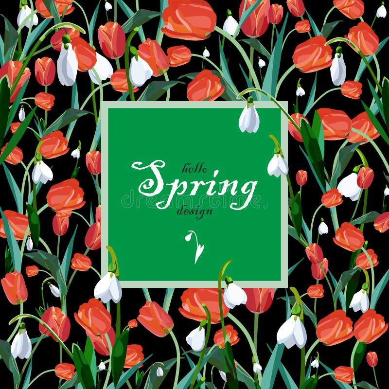 Spring Text Frame Vector Illustration with Red Spring Tulips and White ...