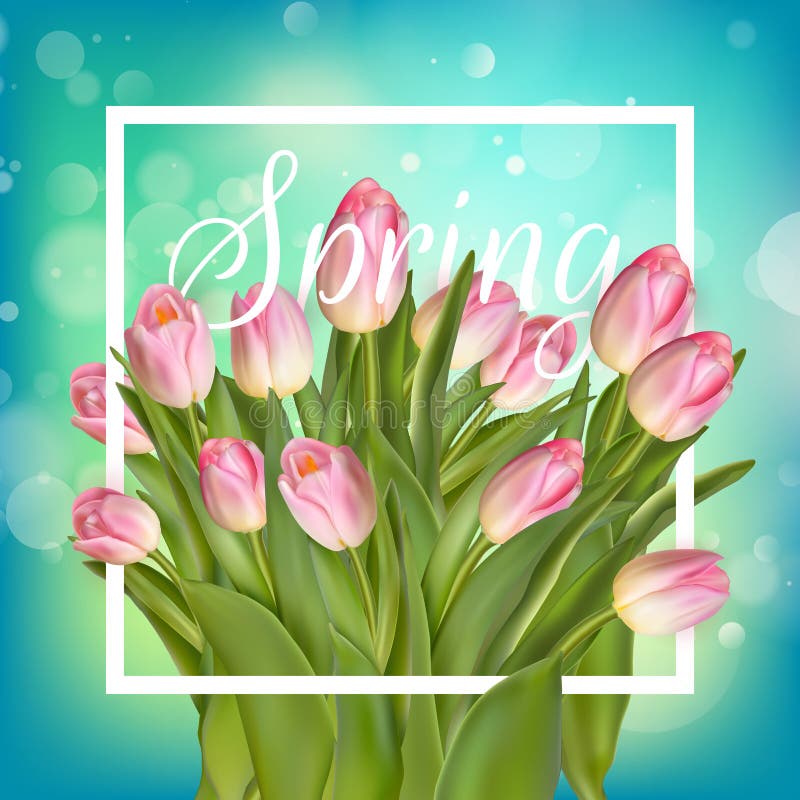 Spring Text Design, New Spring Collection, Vector Illustration Stock ...
