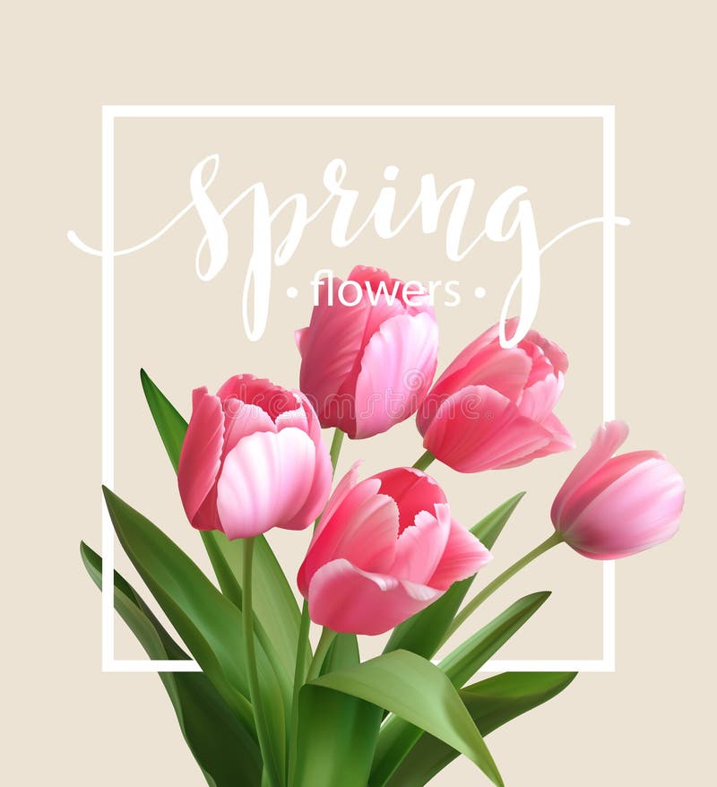 Spring Text Design, New Spring Collection, Vector Illustration Stock ...