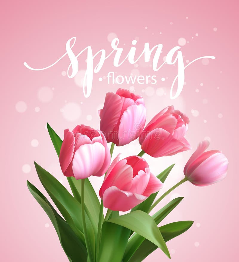 Spring Text Design, New Spring Collection, Vector Illustration Stock ...