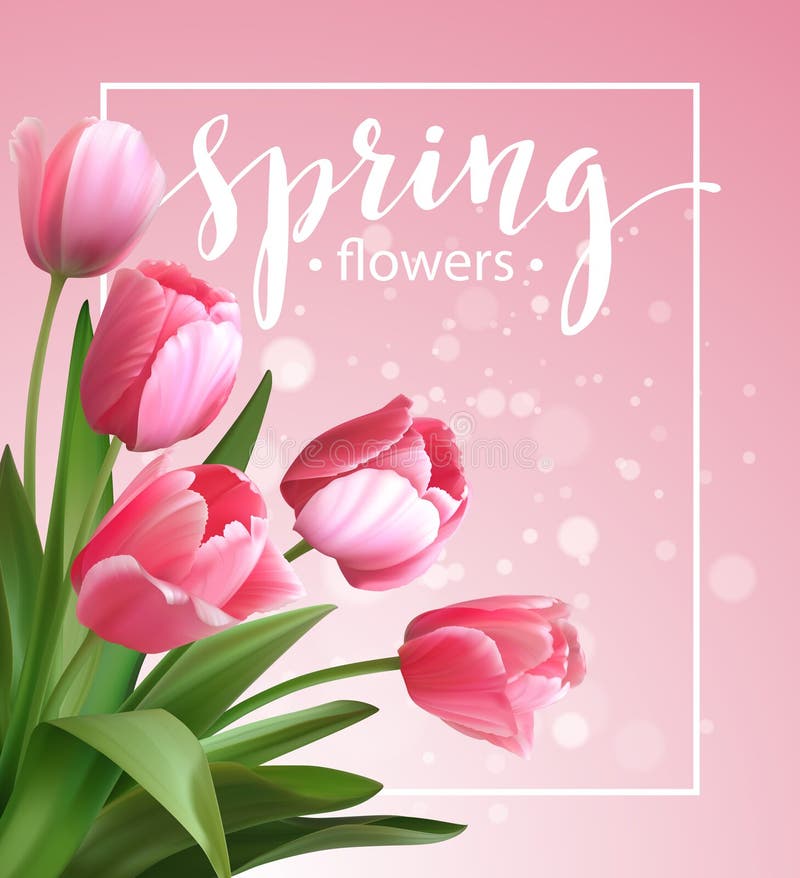 Spring Text Design, New Spring Collection, Vector Illustration Stock ...