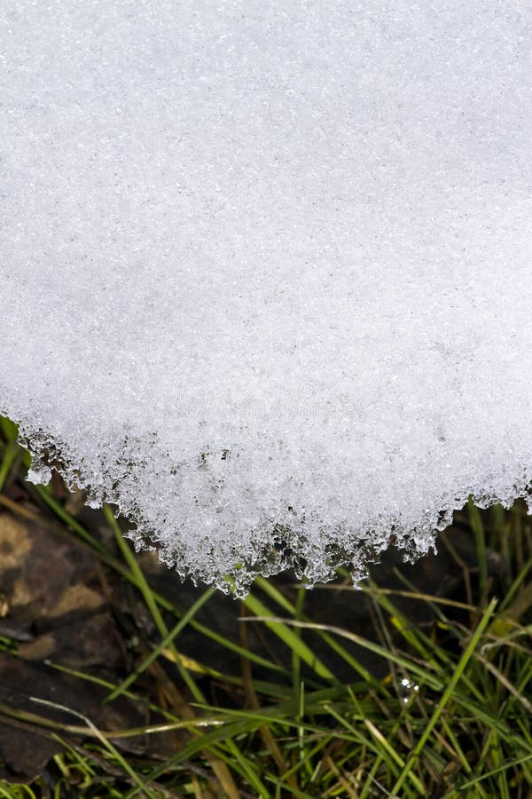Spring thaw stock photo. Image of outdoors, grass, spring - 23189212