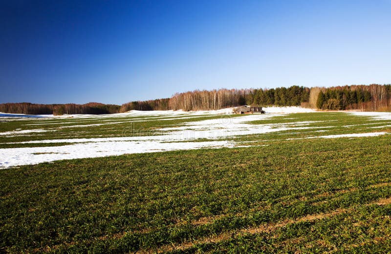 Spring thaw stock image. Image of meadow, cold, dirt - 27214893