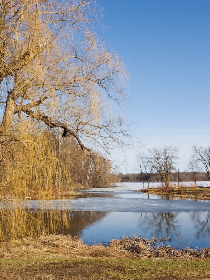 Spring Thaw Picture. Image: 4925375