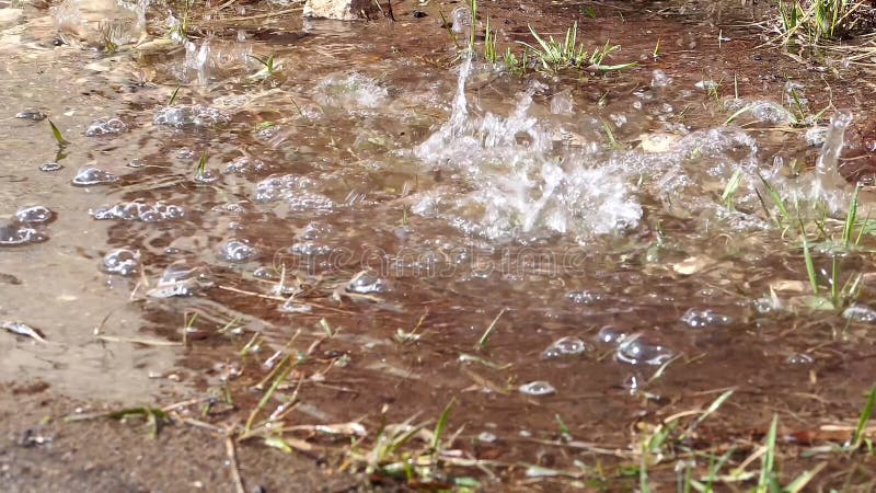 Spring Thaw. Melt Water Flows from the Roofs. Spring Drops, Rain Drops ...