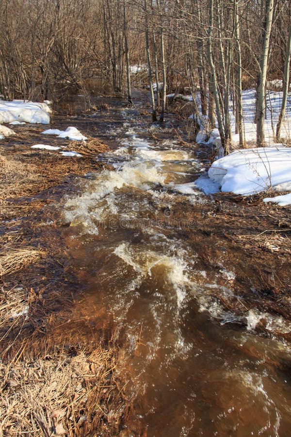 Beautiful water stock photo. Image of bright, clarity - 29810022