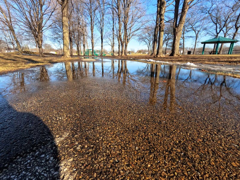 Spring Thaw with Tree Reflections in Pavement Water Puddle Stock Image ...