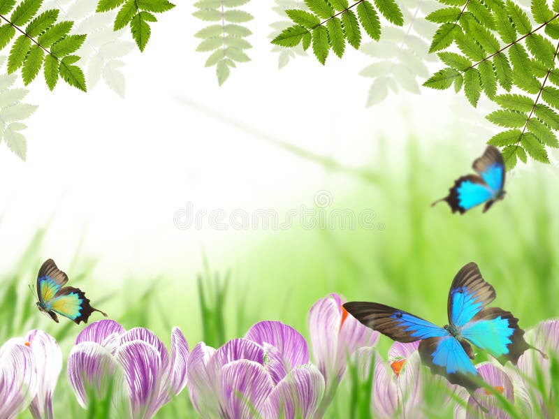 Spring theme stock image. Image of botanical, easter - 18576389