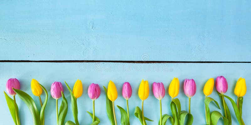 Spring theme banner stock image. Image of space, card - 143605537