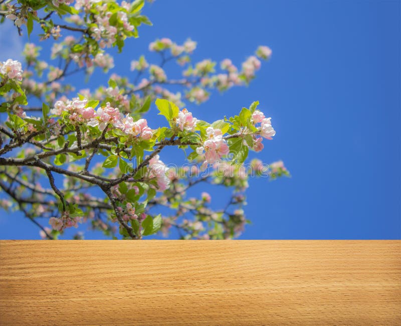 Spring themed background stock photo. Image of closeup - 49510660