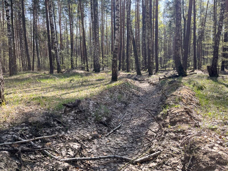 499 Fire Moat Stock Photos - Free & Royalty-Free Stock Photos from ...