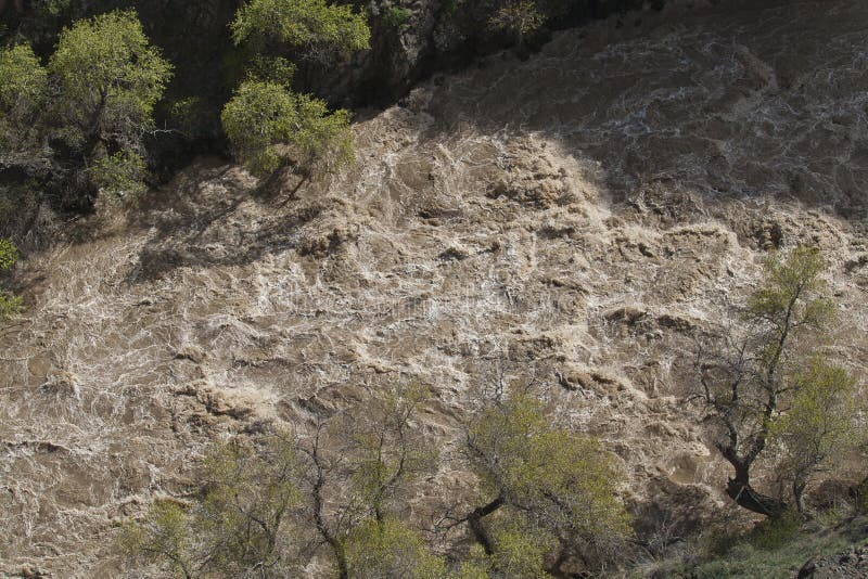 Spring tide stock image. Image of rock, melting, trees - 25214459