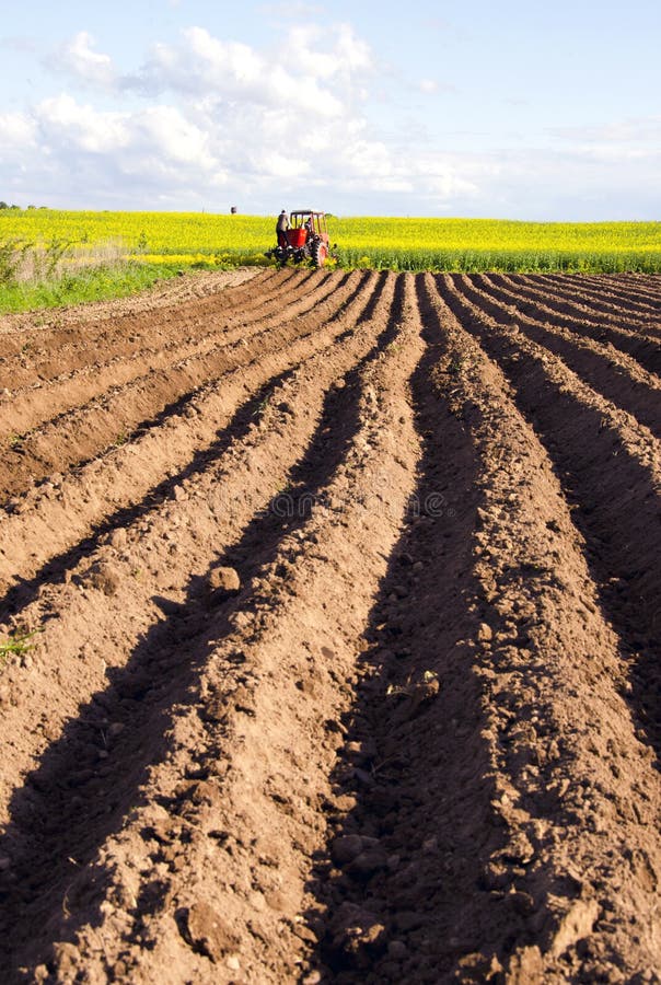 Spring Tillage in the Ground and Tractor Stock Image - Image of land ...