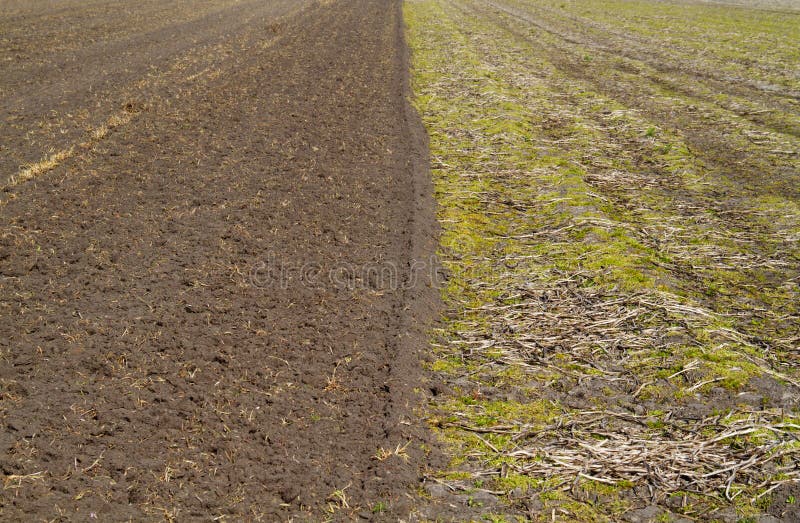 Tillage in a field stock photo. Image of texture, cultivated - 178359990